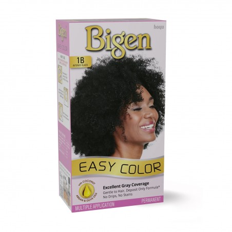 BIGEN EASY COLOR 1B INTENSE BLACK