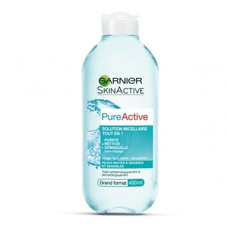 GARNIER SKIN ACTIVE PURE ACTIVE